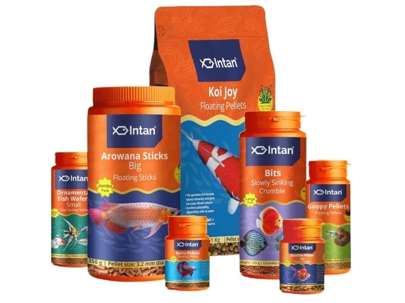 Intan Ornamental Fish Feed – AQUA LINK